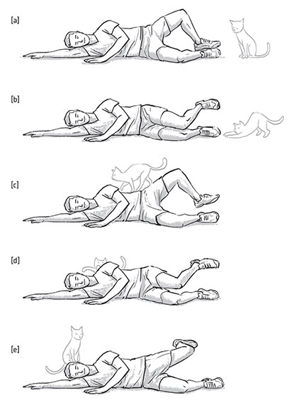 3 Strengthening Exercises You Can Do At Home | Trail Runner Magazine